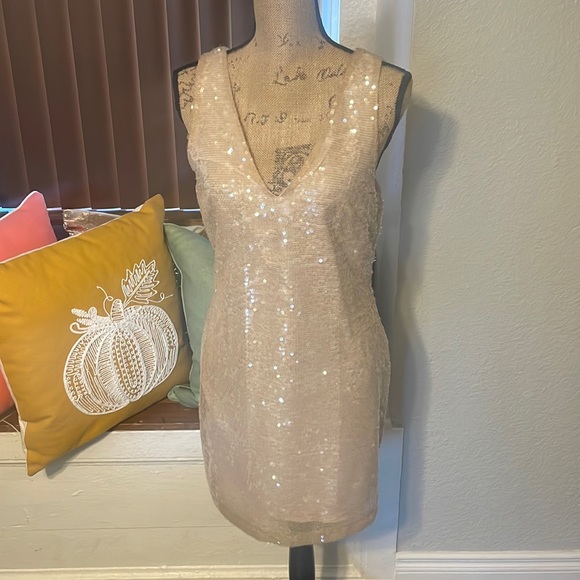 a new day | Dresses | Buy It Now Champagne Sequined Lined A New Day ...
